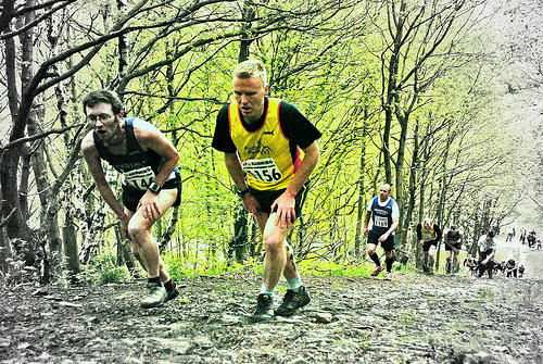 Post Hill Challenge 2014 - RaceBest